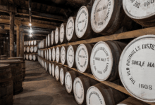 Becle: el mayor productor de tequila - Opportimes