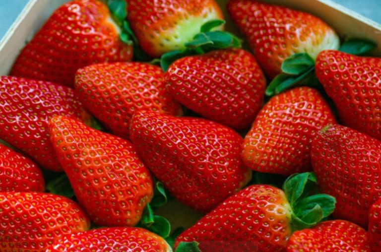 Exportadores de fresas: México supera a España en el ranking mundial ...